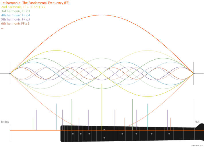 Analysis of a string • HEAMUSIC